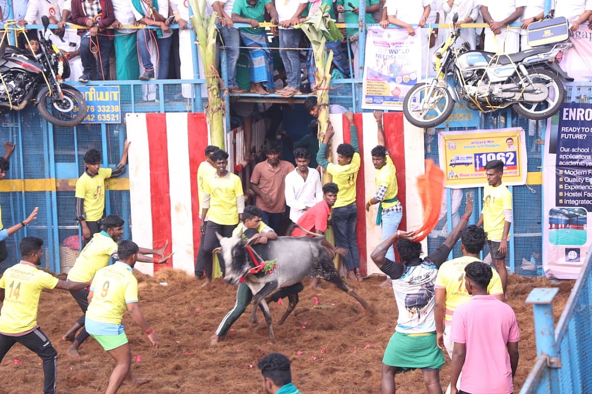 Tamil Nadu's first Jallikattu of 2026 inaugurated at Thatchankurichi