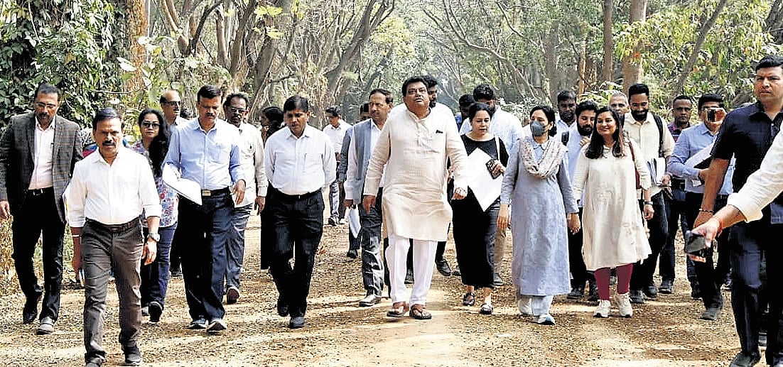 65-acre tree park to come up at NGEF factory in Bengaluru; first phase ...