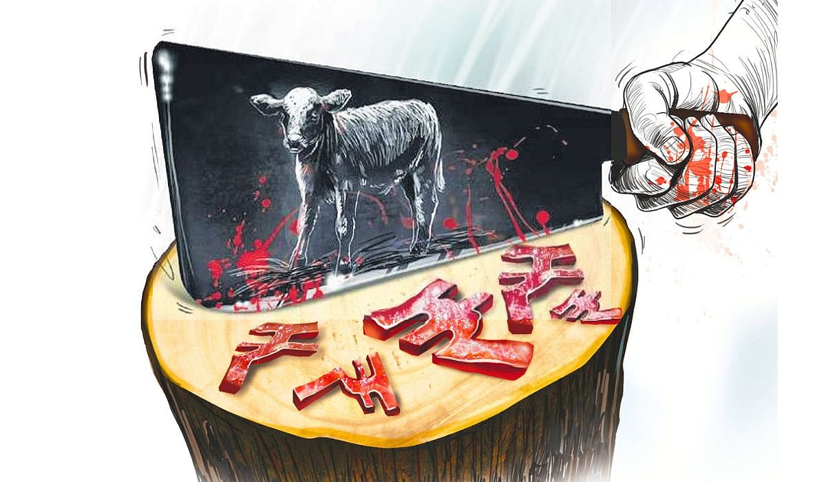 Modernised abattoir in Kunnukuzhy remains inoperative four months after ...