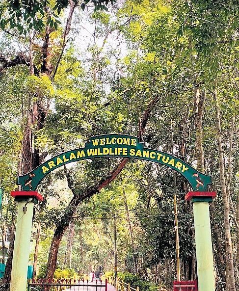 A butterfly sanctuary takes wings in Aralam