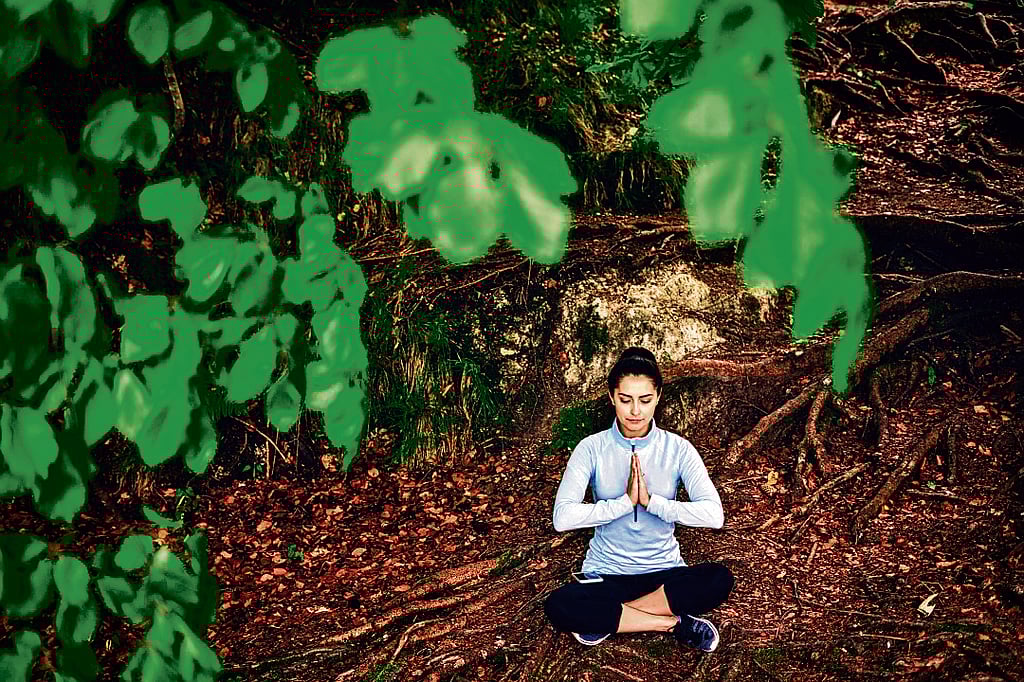 The Quiet Power of Surrender