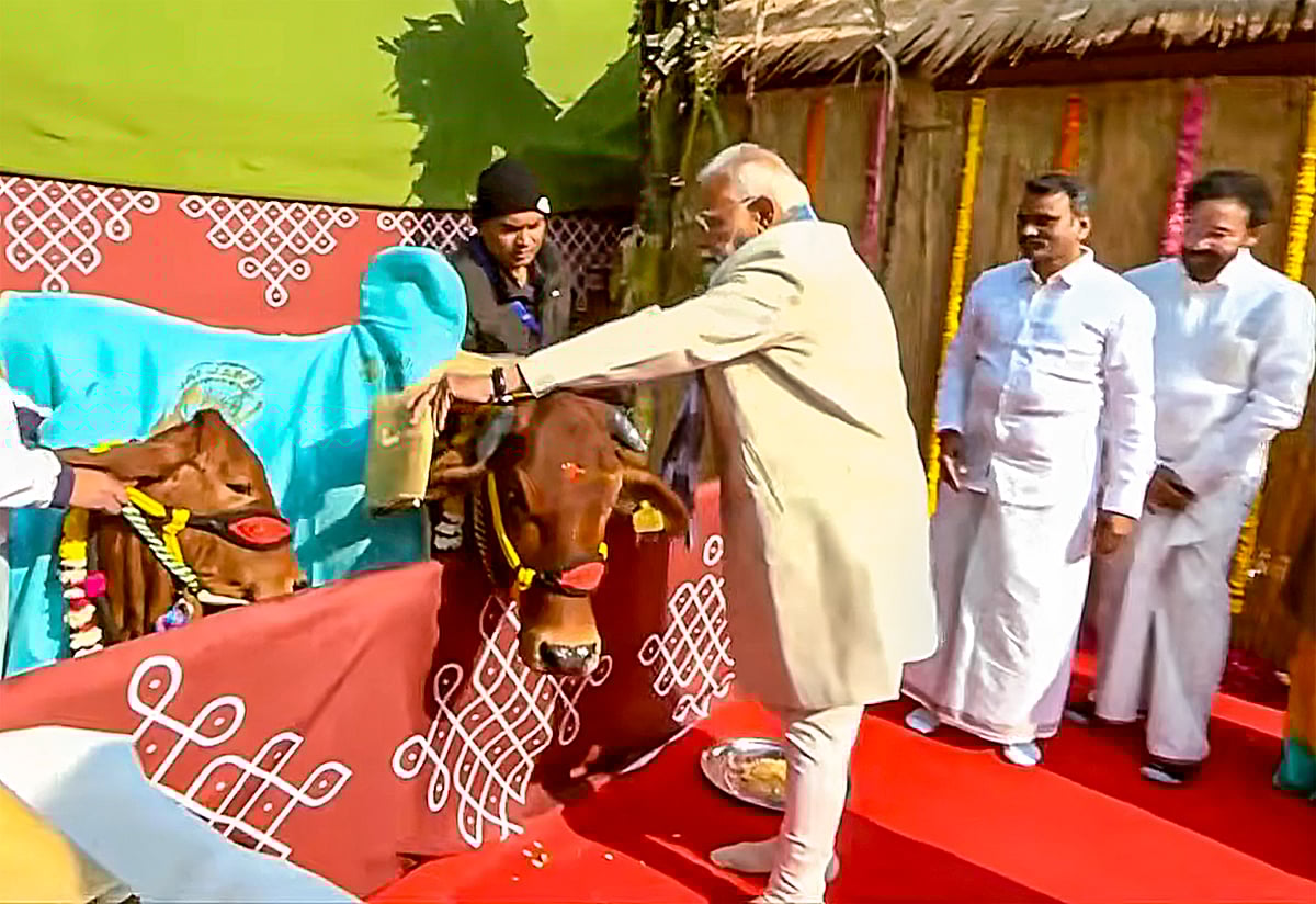 Pongal a global festival, cherished by Tamil community world over: PM Modi