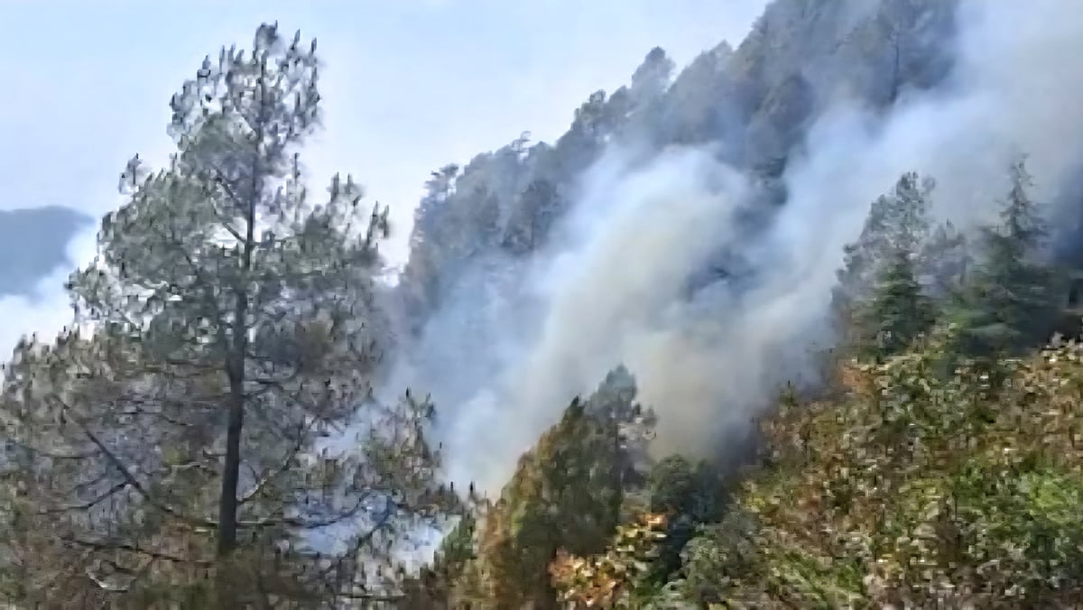 Holding flames back from Valley of Flowers