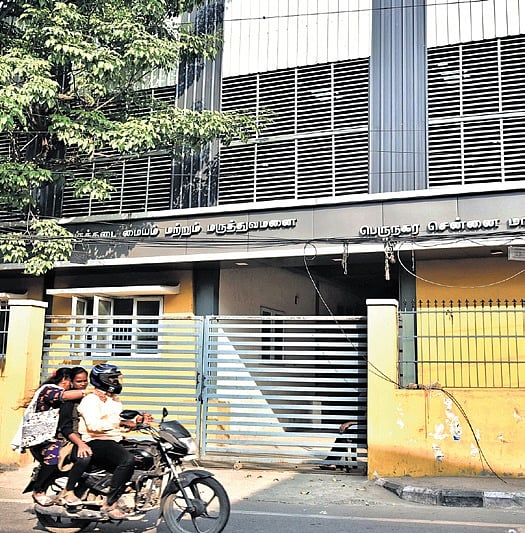 Protest continues to dog Madras HC as GCC removes 22 strays