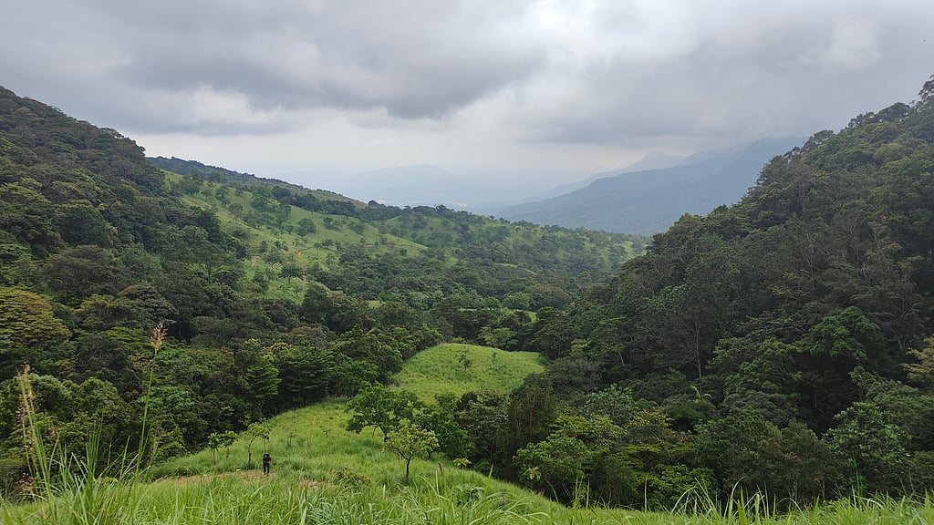 An arduous walk into the wild at Agasthyarkoodam