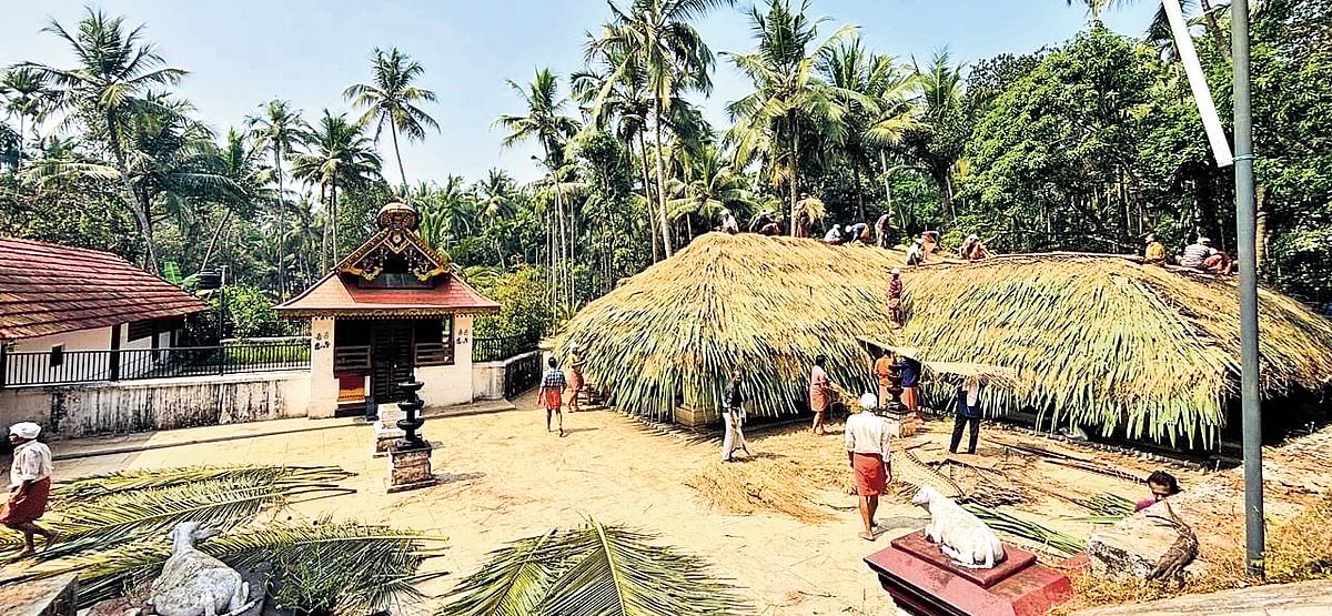 Roof to roots! Tharavadu ritual re-thatching lights up the path with ...