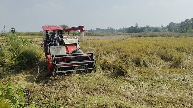 Karaikal farmers await relief from Puducherry government for crops ...