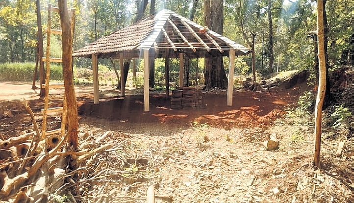 Forest staff fell trees, construct pergola in Karnataka's Kali Tiger ...