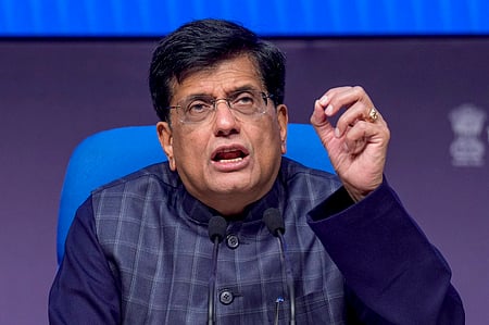 Remove Udhaya as Dy CM for hate speech, says Piyush Goyal