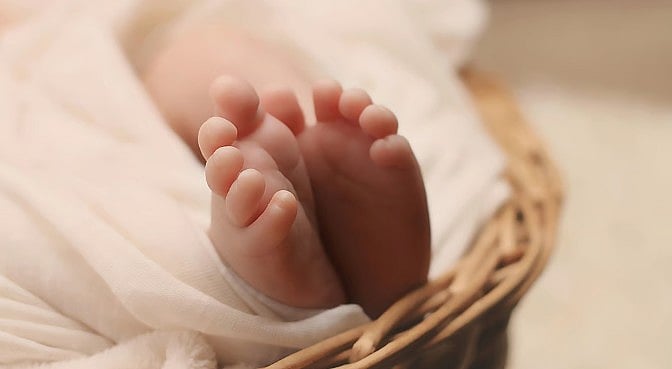 Powdered whole milk for infants could be a culprit in the ByHeart ...