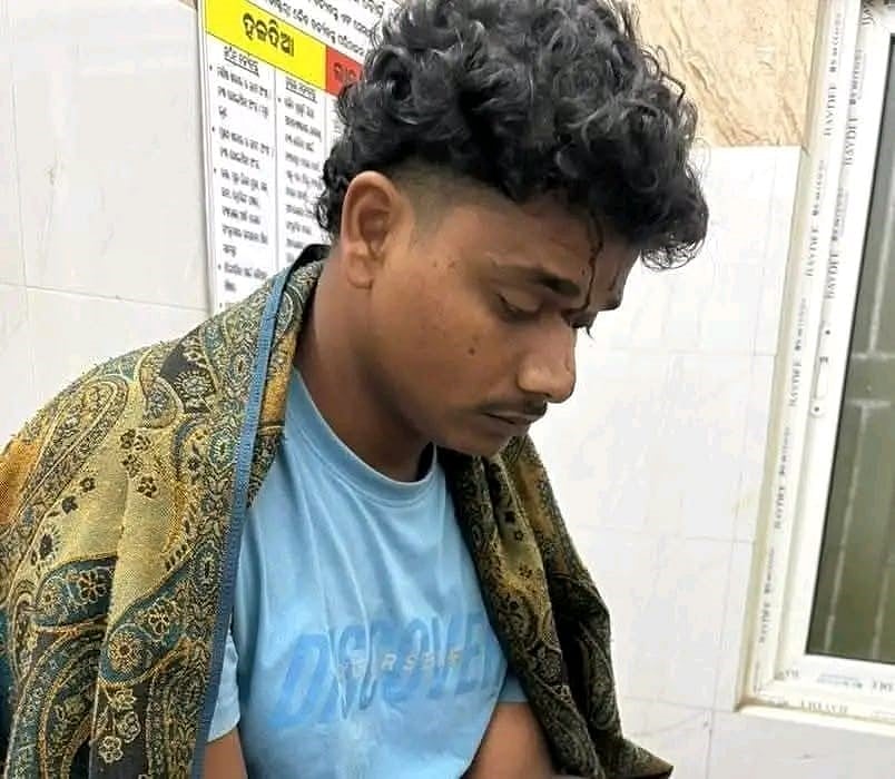 Leopard killed, farmer injured in late-night farmhouse encounter in Cuttack