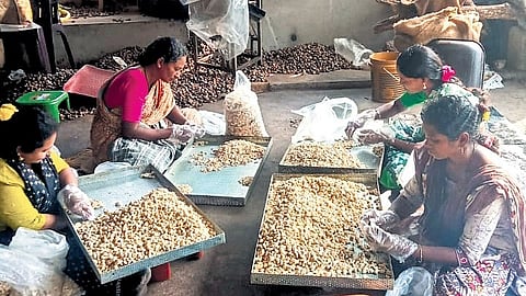From forest produce collectors to women entrepreneurs