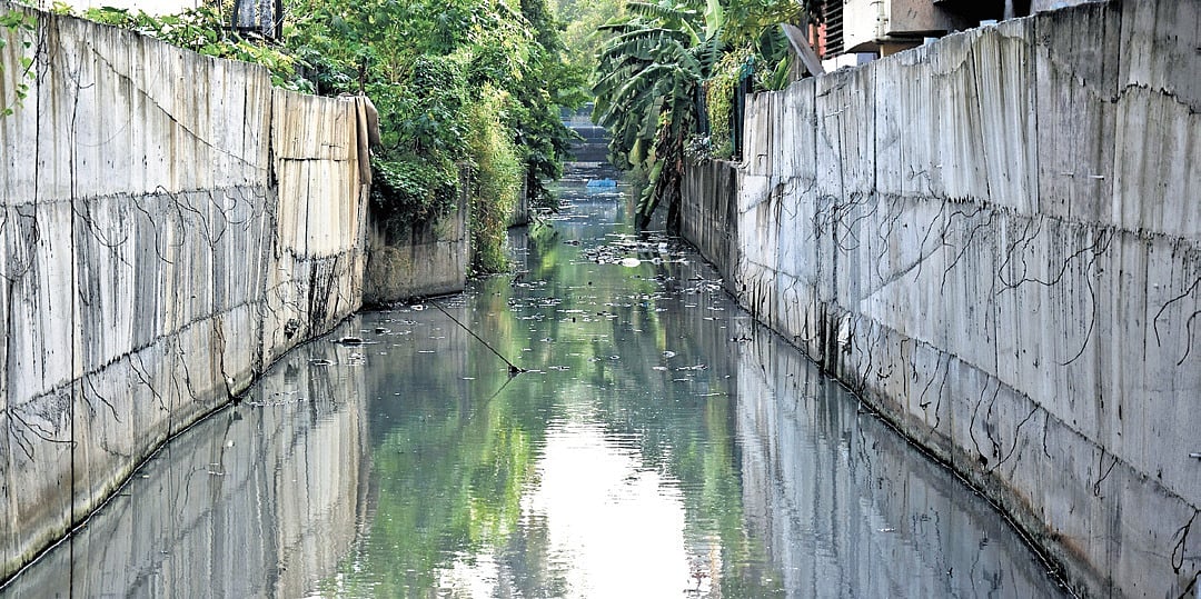 MGR canal in Chennai will be sewage-free by April, retaining wall work ...