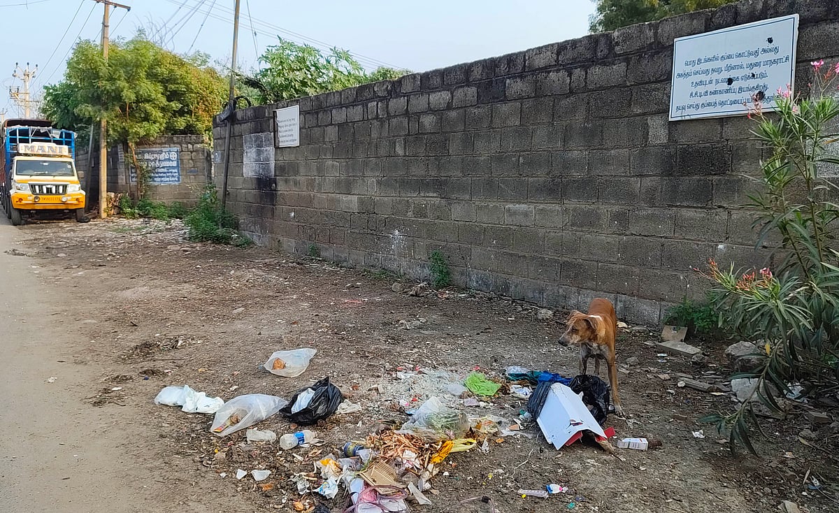Bins removed, open dumping on the rise in Madurai