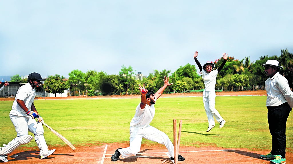 The Other Cricket