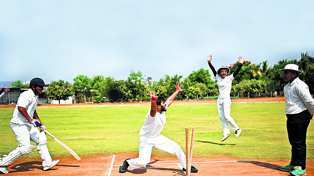 The Other Cricket