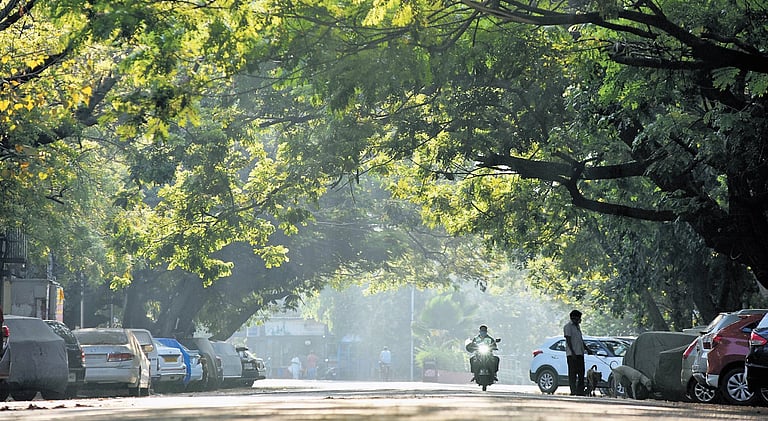 Tamil Nadu launches first Urban Greening Policy to boost climate resilience