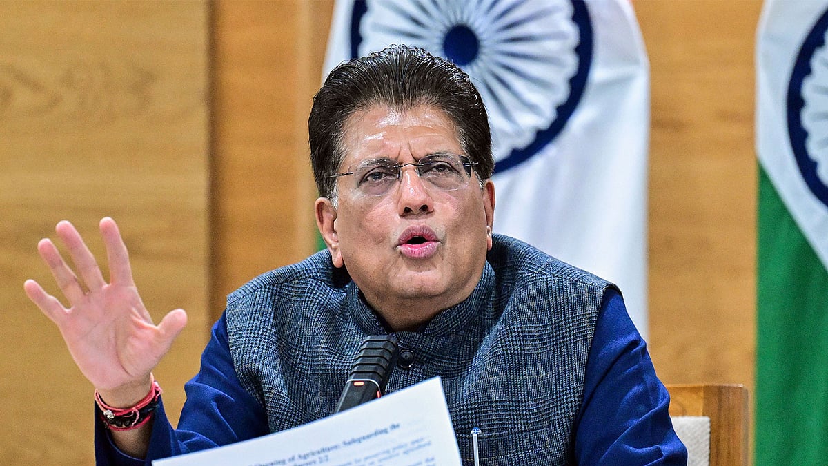 India-US interim trade pact likely to be operationalised in April, says ...