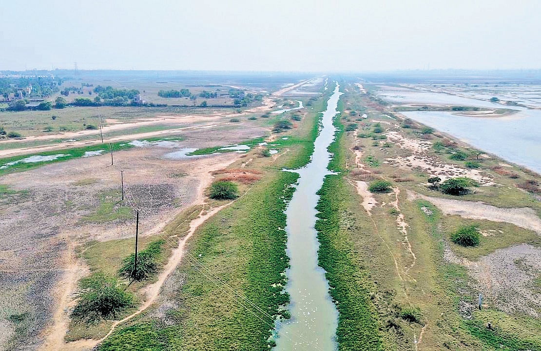 Mamallan dam will damage backwater ecosystem: Experts