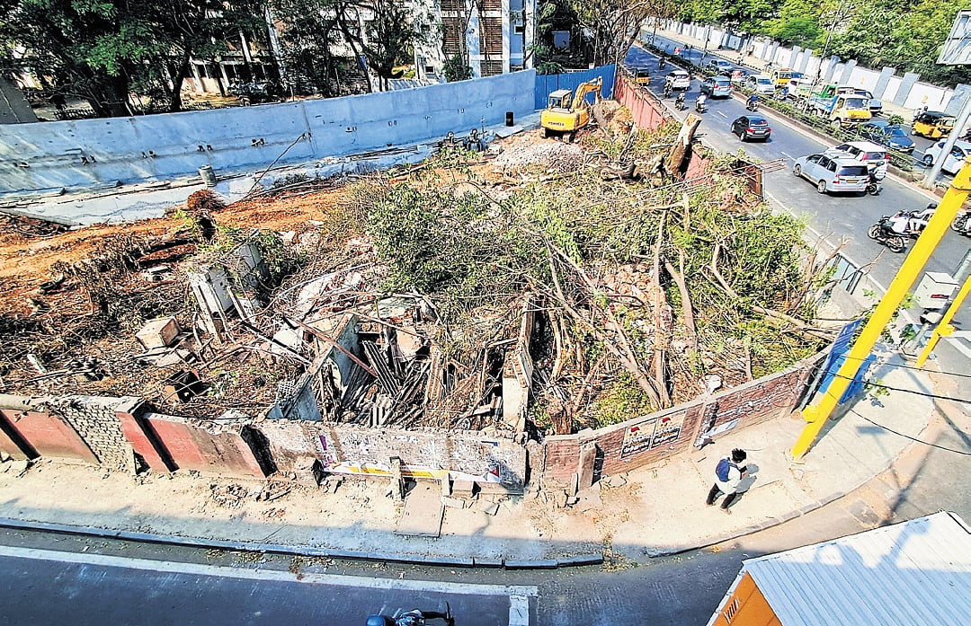 Around 100 trees axed for widening Sardar Patel Road into six lanes in ...