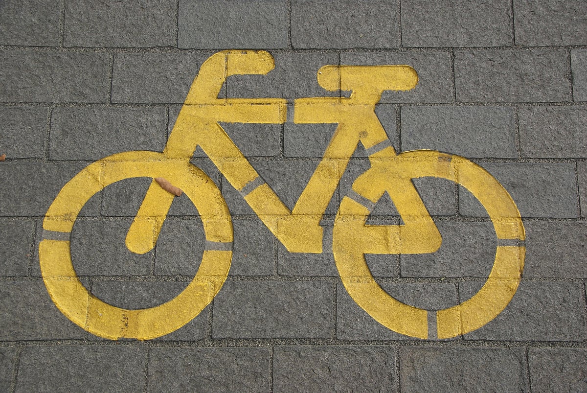 63rd Fit India Sundays on Cycle evokes a tremendous response
