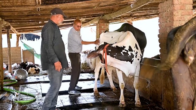 Skill over schooling: How Gujarat's Deepak Patel rewrote India’s dairy ...