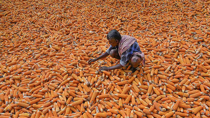 100 per cent ethanol blending: Strike balance between food and energy ...
