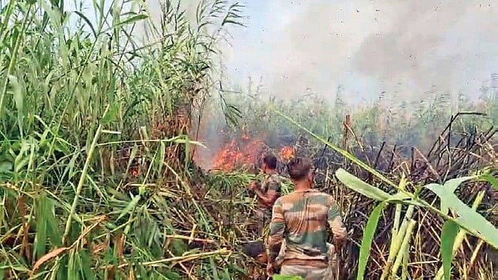 Massive fire rages for three days in Chilika Lake, ravages over 5 ...