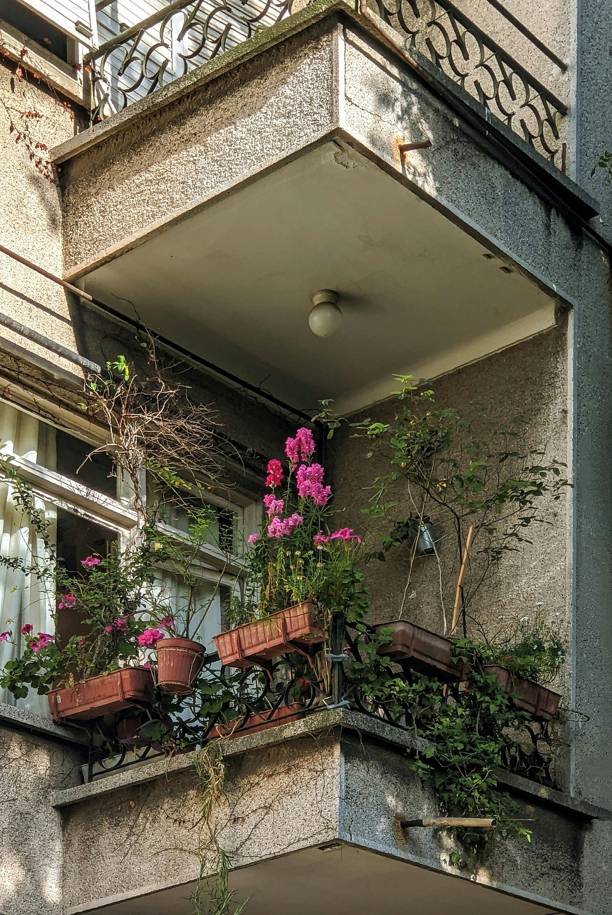 Understanding Microclimates in Urban Landscapes